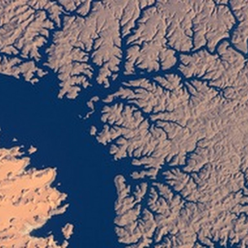 Egyptian Chronicles: High Dam Special : Celebrating World Water Day in ...